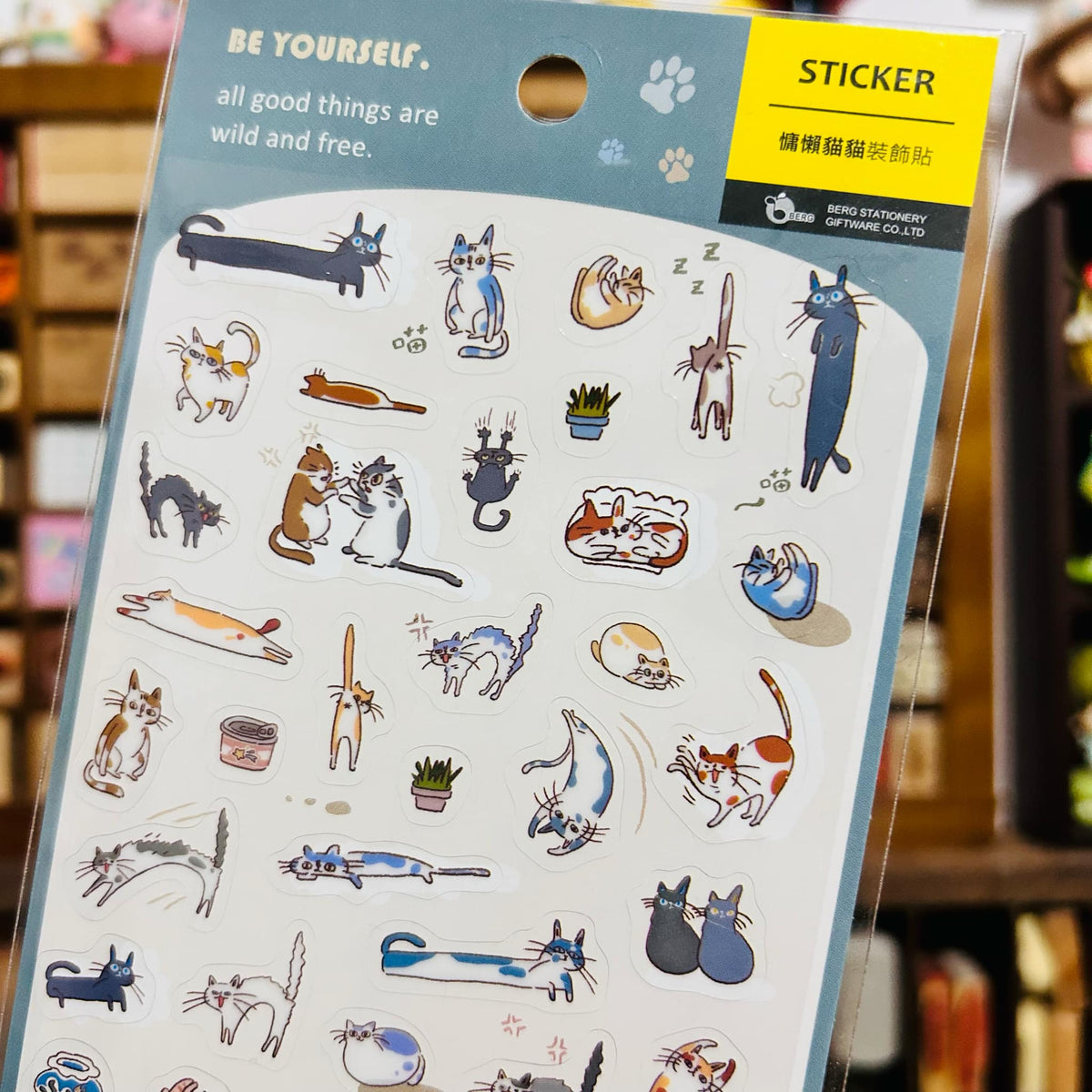 BERG Cat Mood Transparent Sticker Sheet – Tokubetsumemori